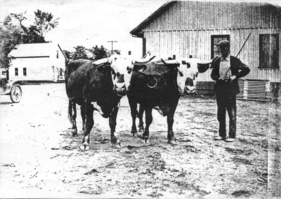 From oxen to Fords: Ripley & Fletcher celebrates 103 years in business