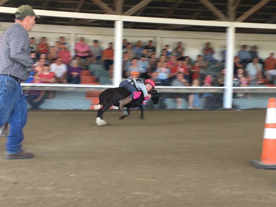 Mutton bustin' not for the sheepish
