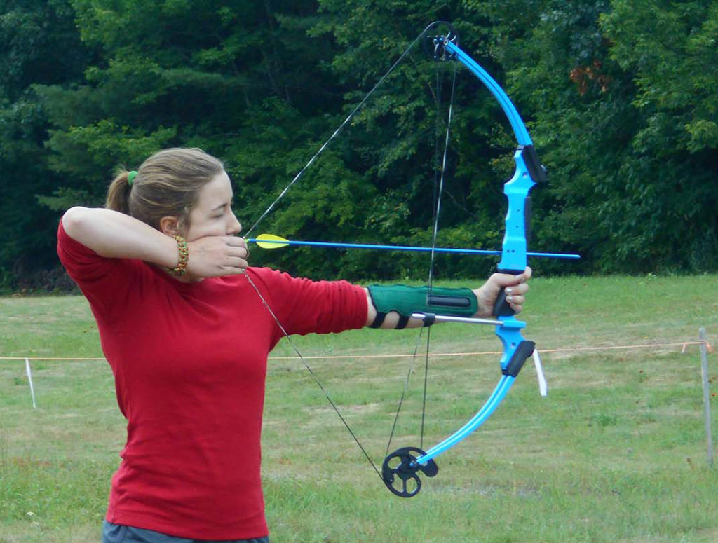 Instructors to teach archery, laser rifle target shooting at wildlife park