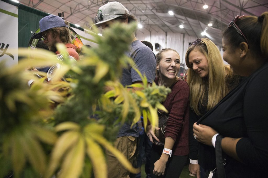 Annual Maine pot convention offers bumper crop of cannabis expertise
