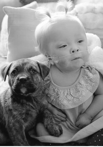 Obituary: Adalyn “Addy” Jane Desrosiers