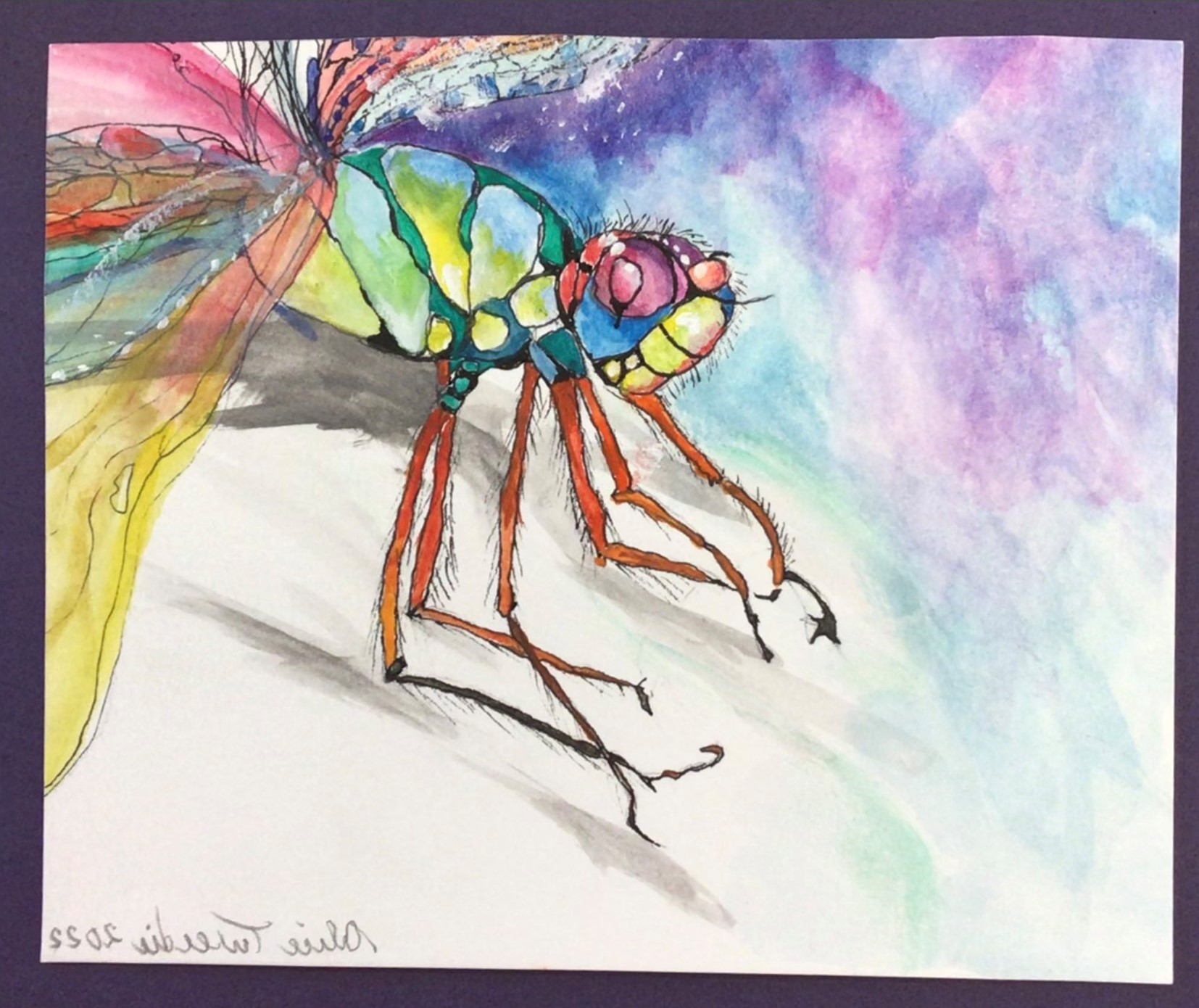 Tweedie paintings on display