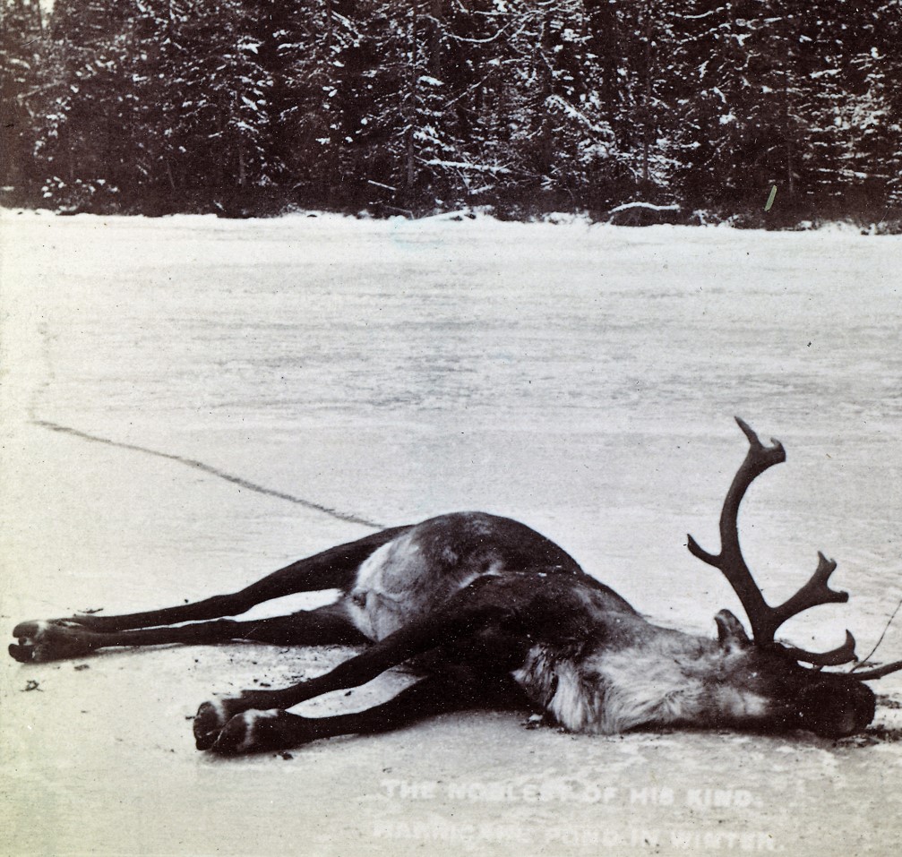 Snapshots in Time: Notorious Poachers in Maine History