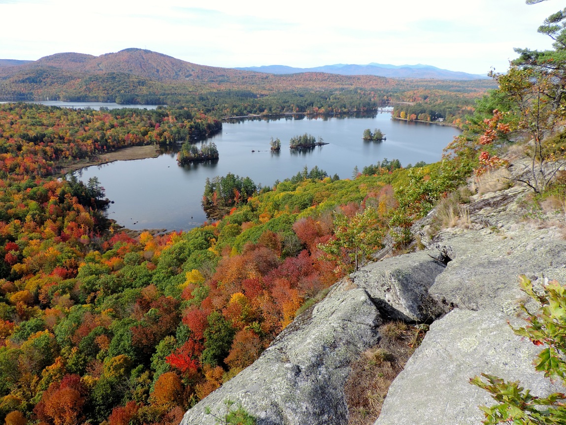 Rare bats sighted at Buck’s Ledge