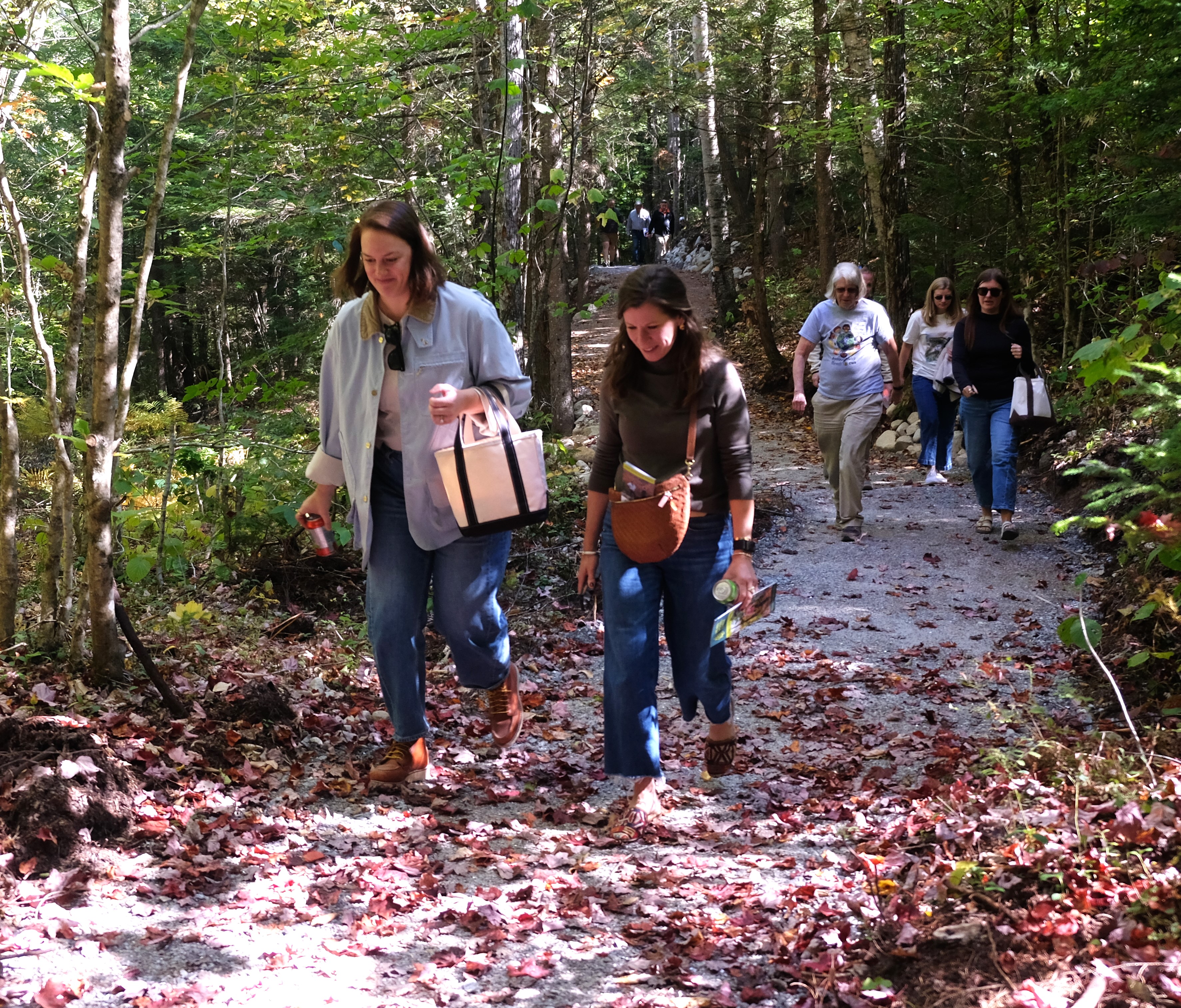 Rumford Community Forest celebrated as ‘symbol of Rumford’s resurgence’